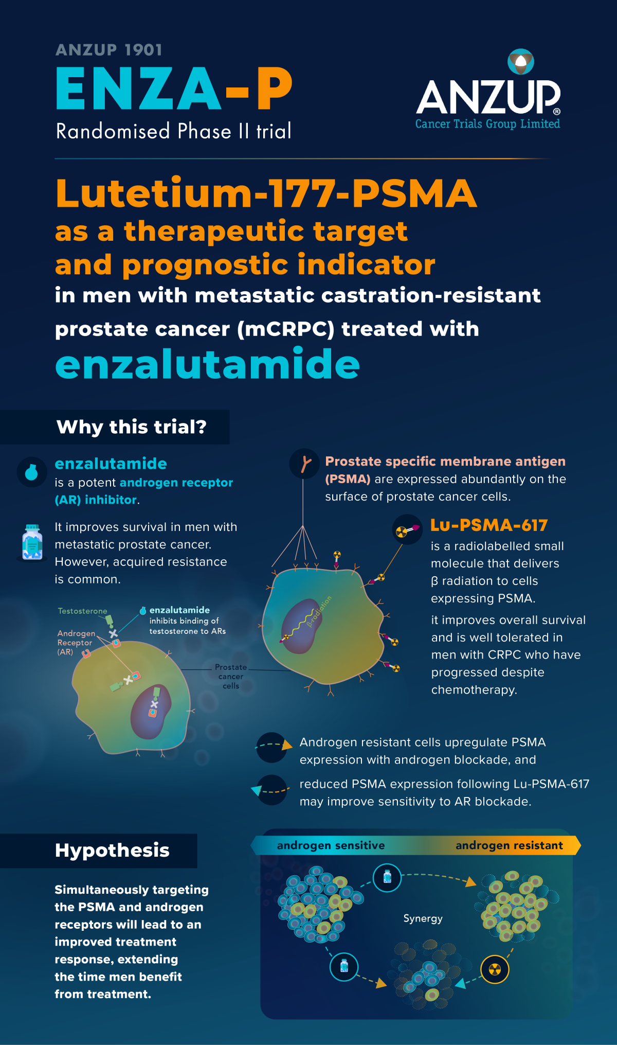 ANZUP / ENZA-P clinical trial results - Crealo Design