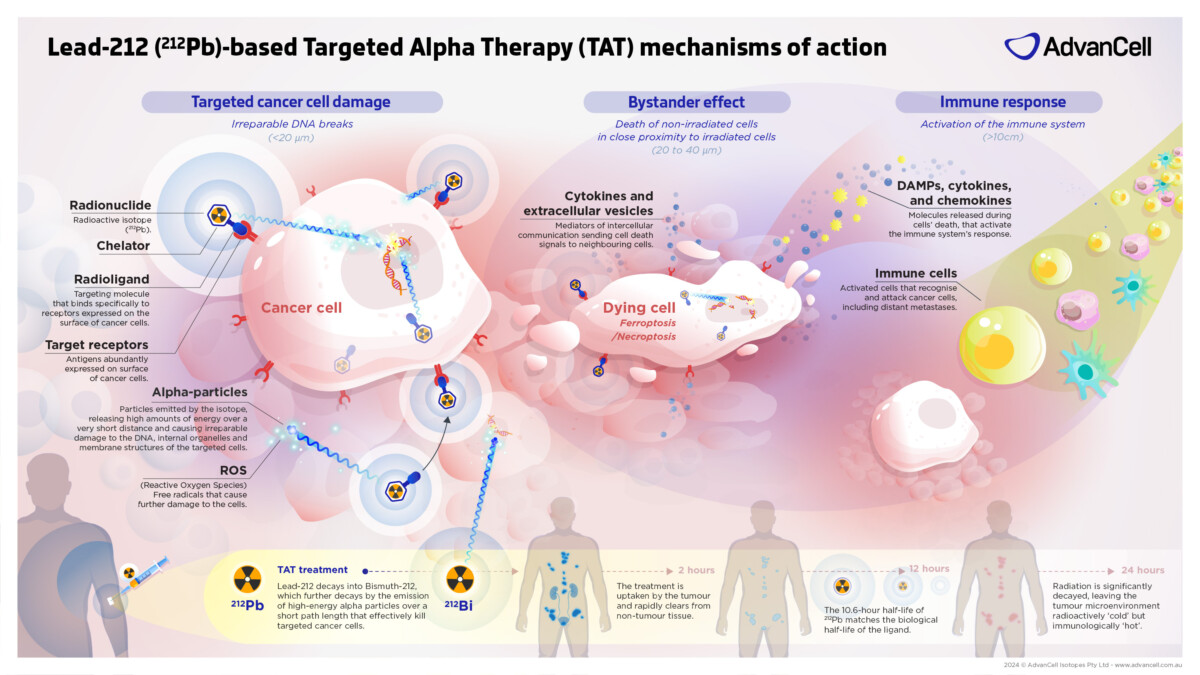 Targeted Alpha Therapy infographics & animated presentation - Crealo Design