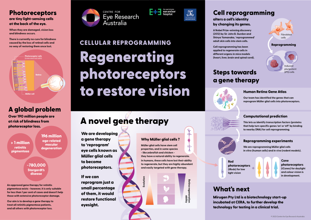 CERA Scientific poster - Vision expo - Gene therapy - Crealo Design