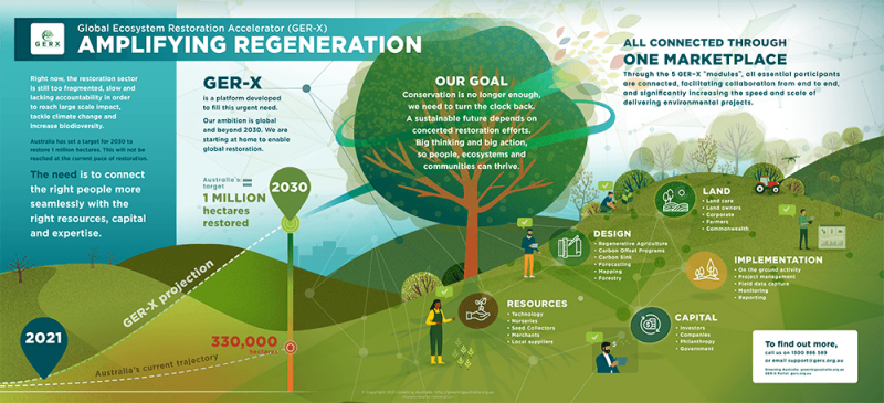Windarring Services Infographic, Strategy and Client Guide - Crealo Design