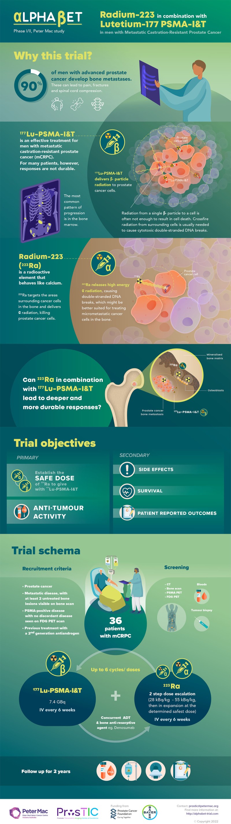 Alphabet Clinical trial infographic - Crealo Design
