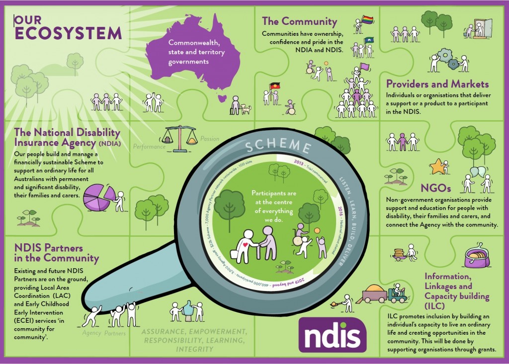 NDIS transformation infographics - Crealo Design