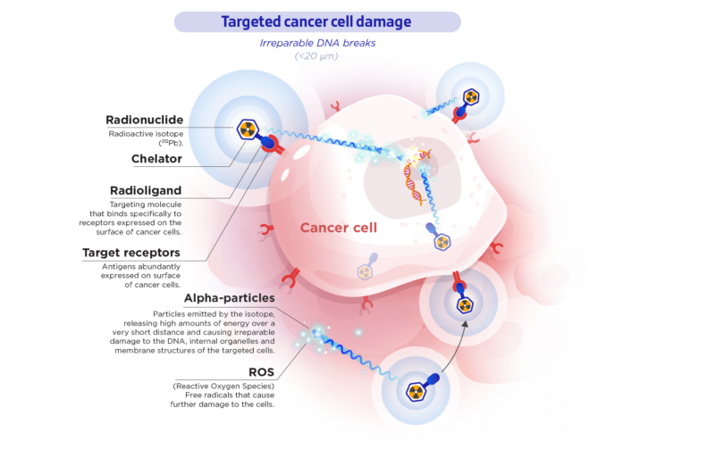 Targeted Alpha Therapy infographics & animated presentation - Crealo Design